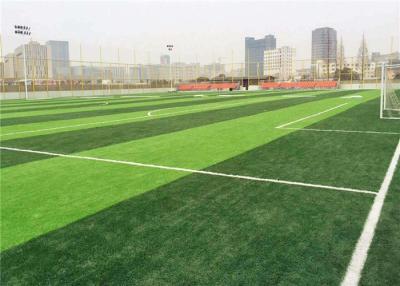 China Natural Artificial Football Turf Lush Anti Split Plus Stem Shape Plastic Material for sale