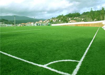China High Performance Backyard Sports Artificial Grass For Outdoor 9450 Density for sale