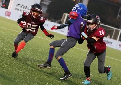 China S Shape Artificial Grass Rugby Pitches Resilience Monofilament PE Material for sale