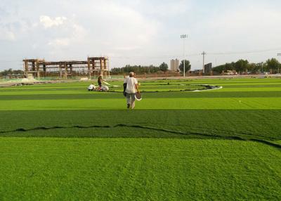 China Low Maintenance Synthetic Sports Turf For Sports Easy Installation SASO Listed for sale