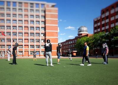 China Realistic Artificial Rugby Pitch , Fake Grass Carpet With 5 Years Warranty for sale