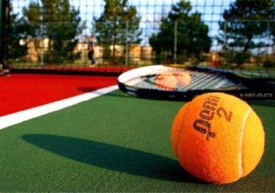 China Natural Looking Artificial Lawn Grass , High Sports Performance Artificial Grass Mat for sale