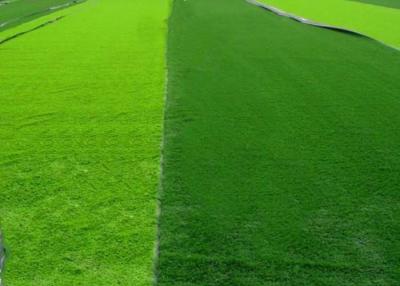 China Reinforced Playability Anti - slip Synthetic Grass For Futsal Environment Friendly for sale