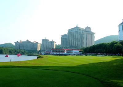 China Fibrillated Shape PE Material Outdoor Artificial Grass For Sports / Backyard Sports for sale