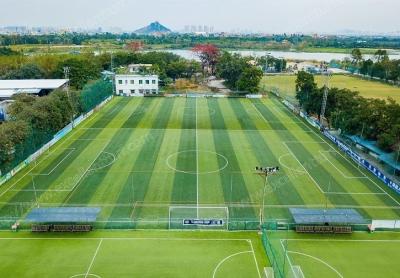 China 50 Mm Artificial Football Turf With Anti UV 8 Years International Standard for sale