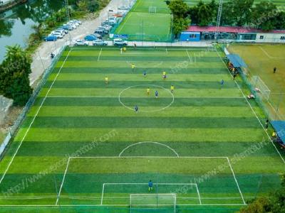 China Labsports Tested Artificial Football Turf With Natural Looking No Fertilizing for sale