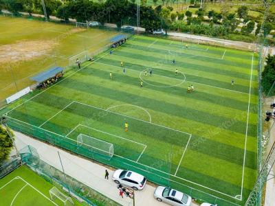 China Resilient PE Artificial Football Turf FIFA Qualification For Standard Football Field for sale