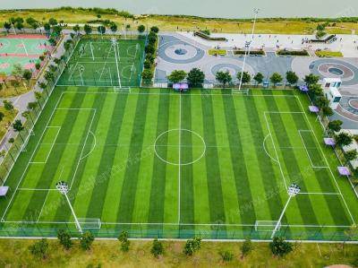 China Diamond Plus Outdoor Fake Turf Grass For Sports Field Anti UV Stem Shape for sale
