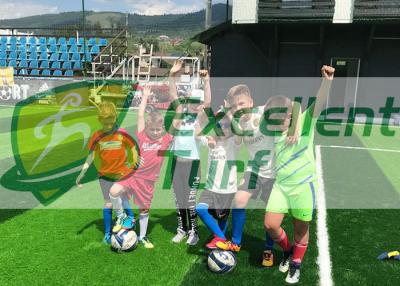 China Healthy Environmental Odorless Artificial Grass Projects 5 - 8 Years Warranty for sale