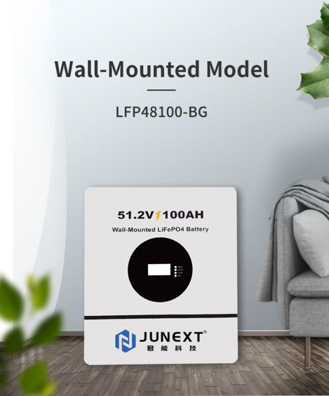 LiFePO4 Solar Energy Storage System Battery