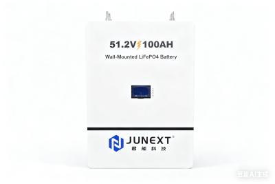 중국 벽걸이형 51.2V 48V 100Ah 5Kwh Lifepo4 배터리 가정용 태양광 에너지 저장 시스템 5kwh 리튬 이온 배터리 딥 사이클 핫 세일 판매용