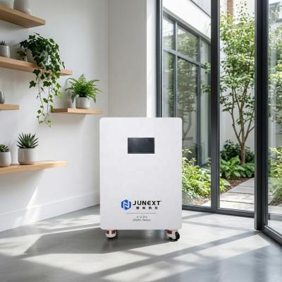 China Versatile 51.2V 314Ah 48V Home Energy Storage All-in-One Multi-Port for Solar On-Off Grid for sale