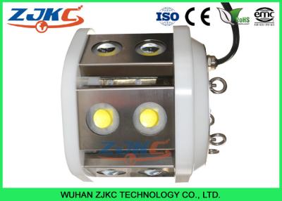 中国 浸水許容LEDの水中魚は、緑色航法燈1000Wを採取している深海のイカつきます 販売のため