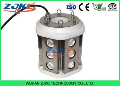 中国 ドックを引き付けている水中緑LEDの魚はマグロ/サケ/サーディン釣のためにつきます 販売のため