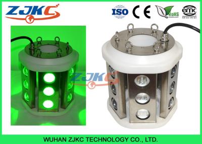 China Deep Drop Underwater Squid Light 1000W for sale