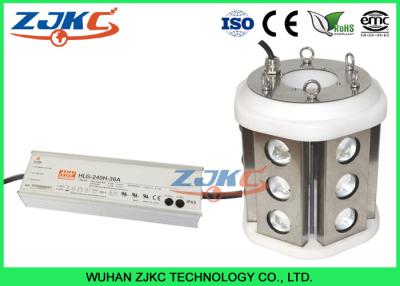 China Submersible Squid Fishing Green Light for sale
