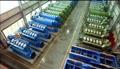 Cina Hfo/gas/centrale elettrica di Disel in vendita