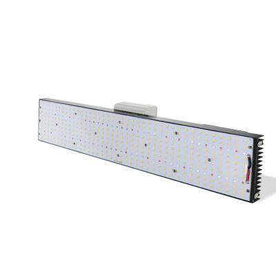 China 240w 480w 3000k 3500K 660nm lm301h quantum tech led board high par plants medical samsung led grow light for plants for sale
