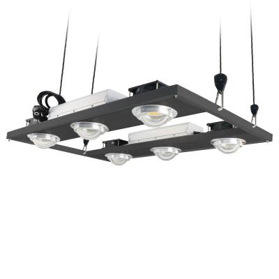 China High Quality Crees CXB3590 Cob Led Grow Light Full Spectrum 300W 600W 900W Led Grow Light for sale