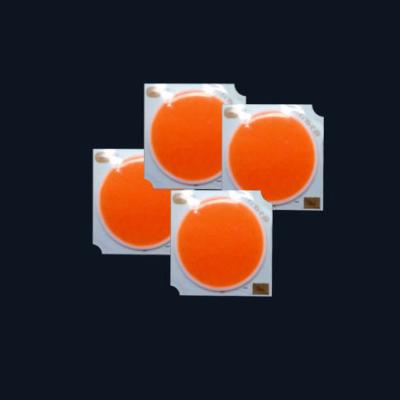 China Best price full spectrum flip chip grow light cob led 50w 60w 80w 100w for sale