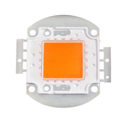 China grow light cob led chip 50 watt white full spectrum for sale