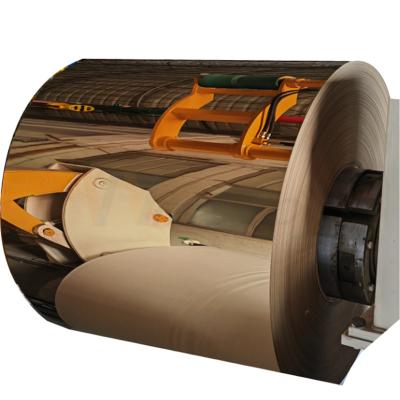 Cina ASTM 201 304 316 bobine laminate a freddo di acciaio inossidabile dello specchio con PVD Rose Gold Coating in vendita