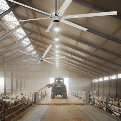 China 40dB Noise Level 6m 20ft 6 Blades HVLS Fans Industrial Large Ceiling Fan with Cooling Fan Motor for sale