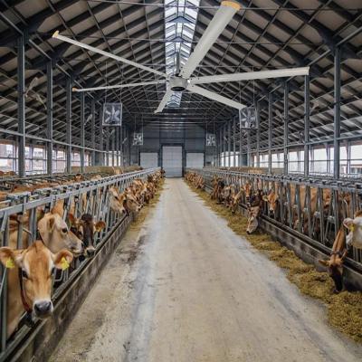 China Fabricação de Armazéns Ventiladores Comerciais 1.5kw Ventilador de teto HVLS à venda