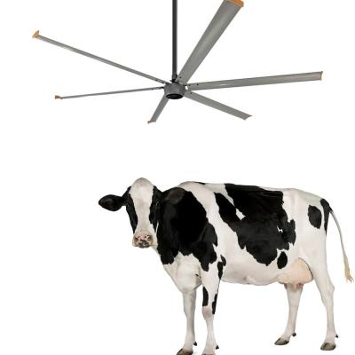 China 24ft Energy Saving Industrial Ceiling Fans with Three-phase Motor and Large Air Volume for sale
