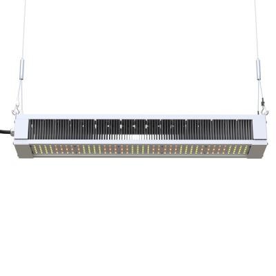 Cina Luce progressiva completa Antivari esile, AL1100 luci progressive di spettro LED di RikoLite 240W di orticoltura LED in vendita