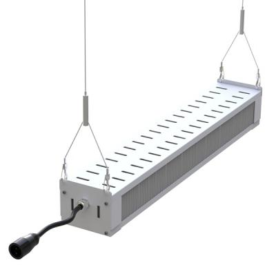 Cina Luce progressiva completa Antivari esile, AL1100 luci progressive di spettro LED di RikoLite 240W di orticoltura LED in vendita