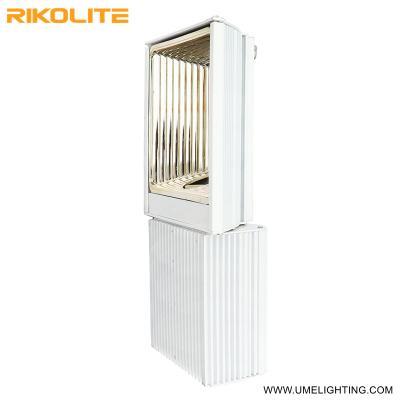 Cina luce progressiva 208-277V di 500W 900umol/s 265VAC CMH con la lampadina 3000K in vendita