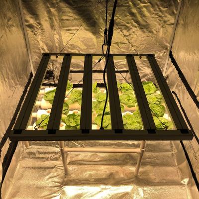 Cina Zavorra delle luci progressive 600w di Free Full Spectrum LED del driver compatibile per agricoltura in vendita