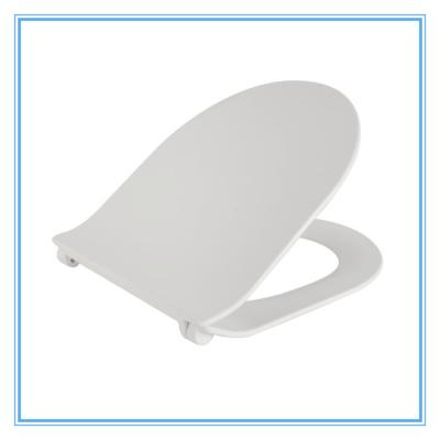 China Slow Down Ultra Slim D Shape UF Toilet Seat Manufacturers for sale