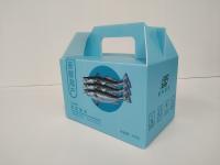 China Plastic Corrugated Foldable Boxes 10mm Thickness Reusable Packaging for sale
