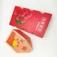 China Custom Corrugated Plastic Packaging Boxes 4C Offset Print Waterproof Durable 500000pcs per Month for sale