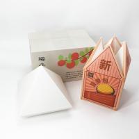 China Custom Corrugated Plastic Carton 2-5mm Waterproof PP Board for Fruit Vegetable Packaging for sale