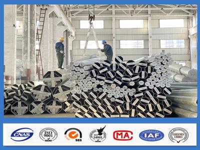 China Aço de prata galvanizado octogonal Polo com peso 160KG & espessura de 3.0mm à venda