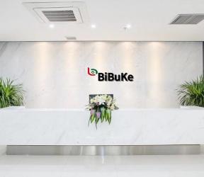 China Factory - Dongguan Bibuke Electronic Technology Co., Ltd.