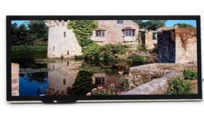 China 24 BIT RGB Interface TFT LCD Display 9 Inch 800 X 600 Resolution for Digital Photo Frame for sale