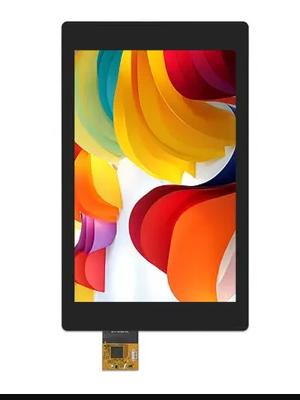 China High Definition IPS LCD TFT Display Module LVDS 300-500nits 10.1 Inch 800*1280 for sale