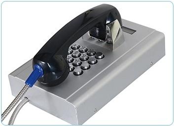 Vandal Resistant VoIP SIP Hot Line Panel Phone