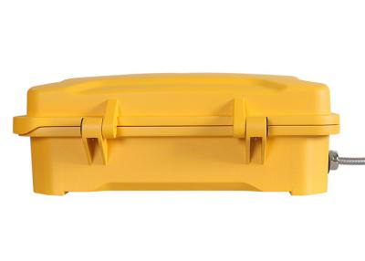 Cina Telefono Industriale Antivandalo per Emergenze con Composizione Automatica, Resistente alle Intemperie IP65-IP67, con 3 Pulsanti in vendita