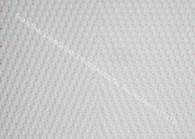 China High Strength Polyester Mesh Belt , 0.3-0.7 mm Thread Diameter Mesh Conveyor Belt for sale