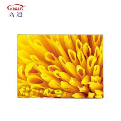 Cina Clear Logo Sublimation Cutting Board for Vegetable and Cheese Made of Tempered Glass in vendita
