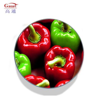China Serve in Style with White Vegetable Kitchen Tempered Glass Cutting Board With Handle à venda