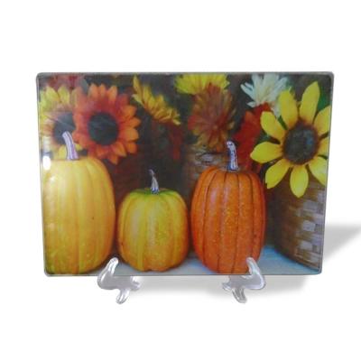 Cina Customer Size Tempered Glass Kitchen Cutting Board Genuine Sublimation White Utility in vendita