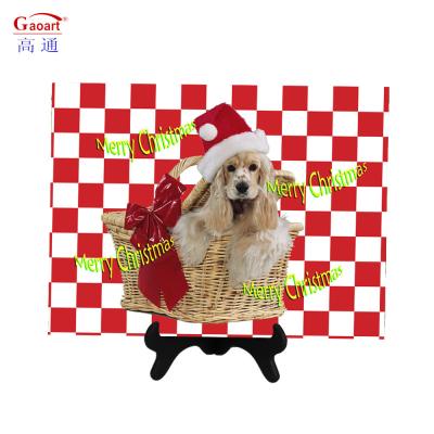 Cina Classic Design Style Kitchen Gadgets Tempered Glass Cheese Board for Chopping Blocks in vendita