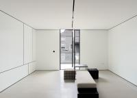 Quality SLEEK 146 series minimalist narrow frame pivot door for sale