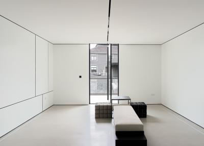 China SLEEK 146 series minimalist narrow frame pivot door for sale